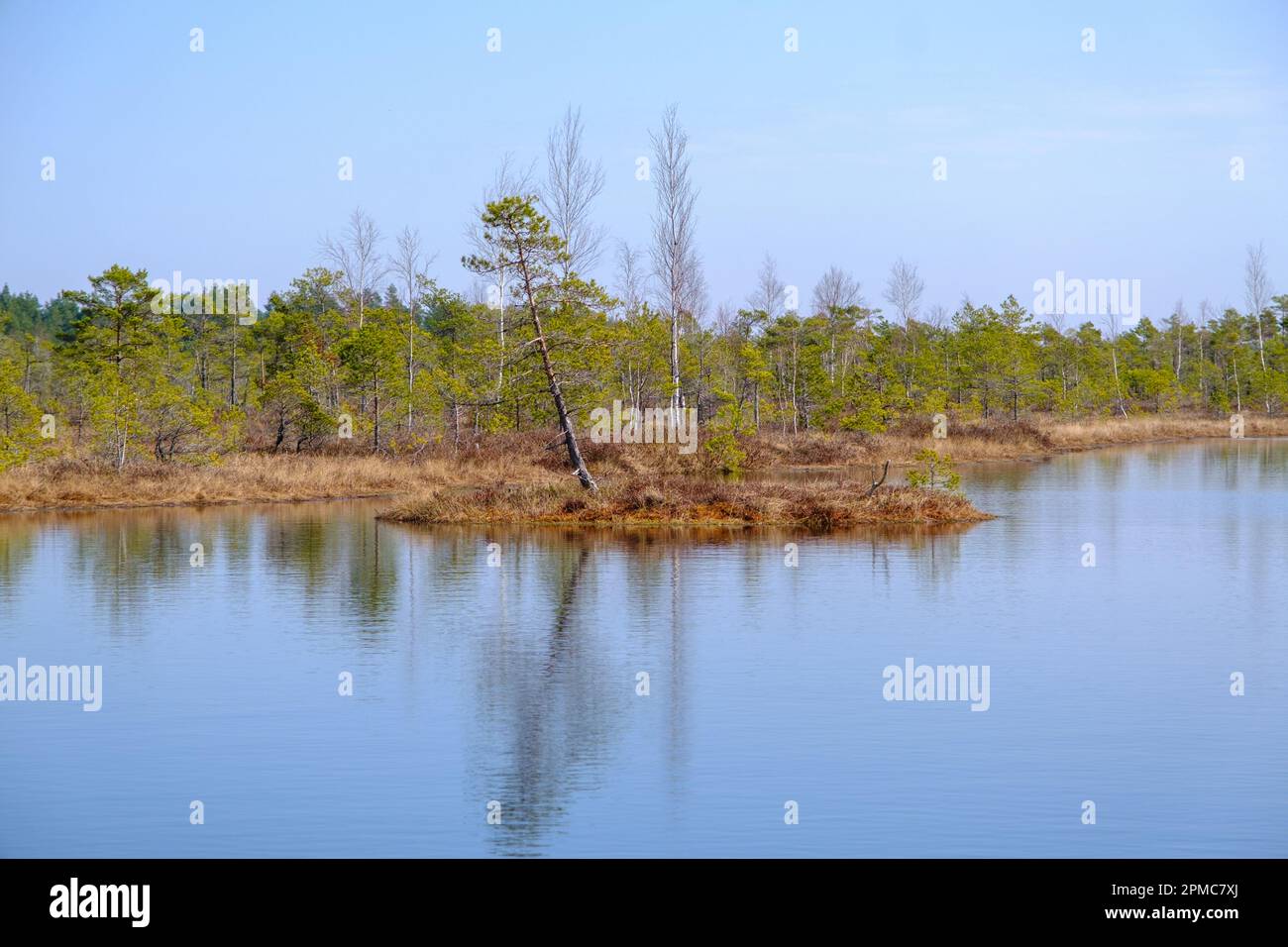 Kemeru swamp, national park with blue lake and trees, and bushes in ...