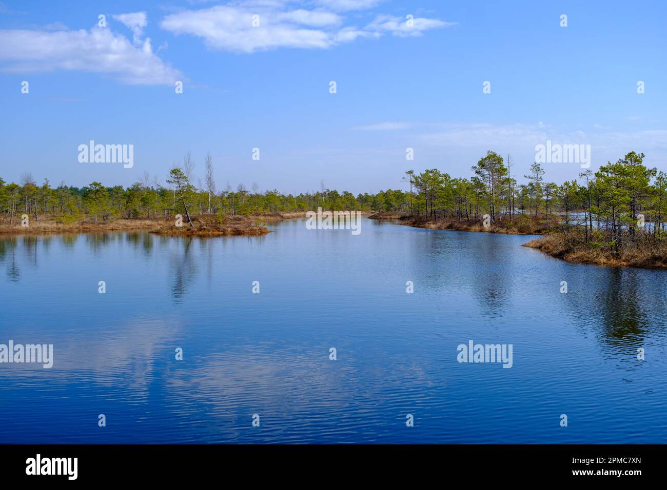 Kemeru swamp, national park with blue lake and trees, and bushes in ...