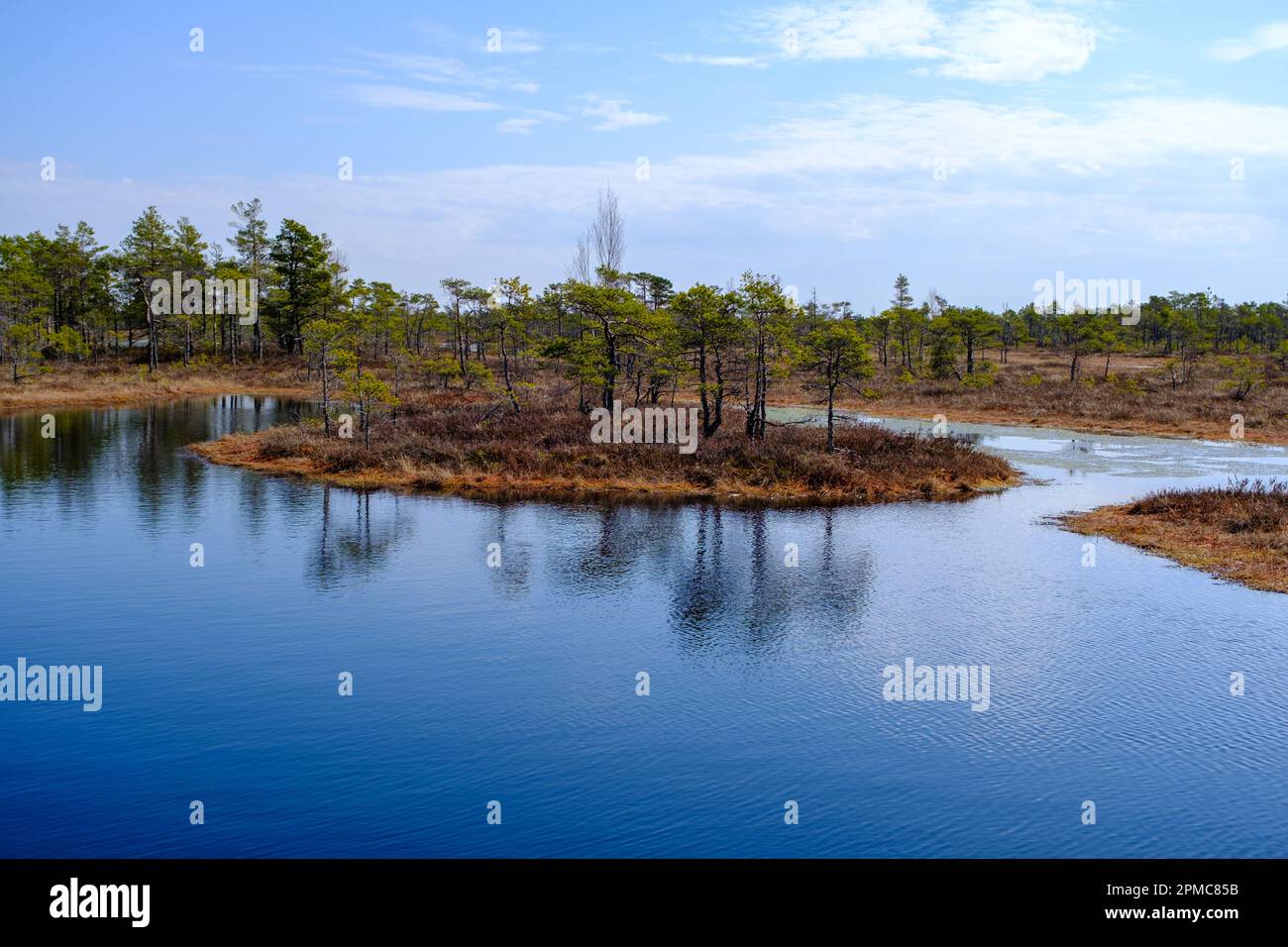 Kemeru swamp, national park with blue lake and trees, and bushes in ...