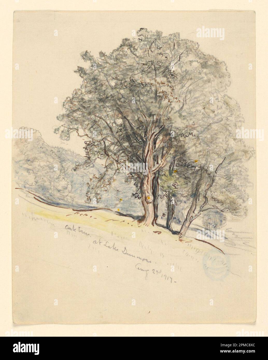Drawing, Study of Oak Trees at Lake Dunmore, Vermont; Samuel Colman ...