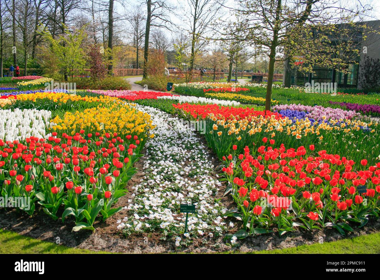 Garden Scene at Keukenhof Gardens in South Holland in The Netherlands ...