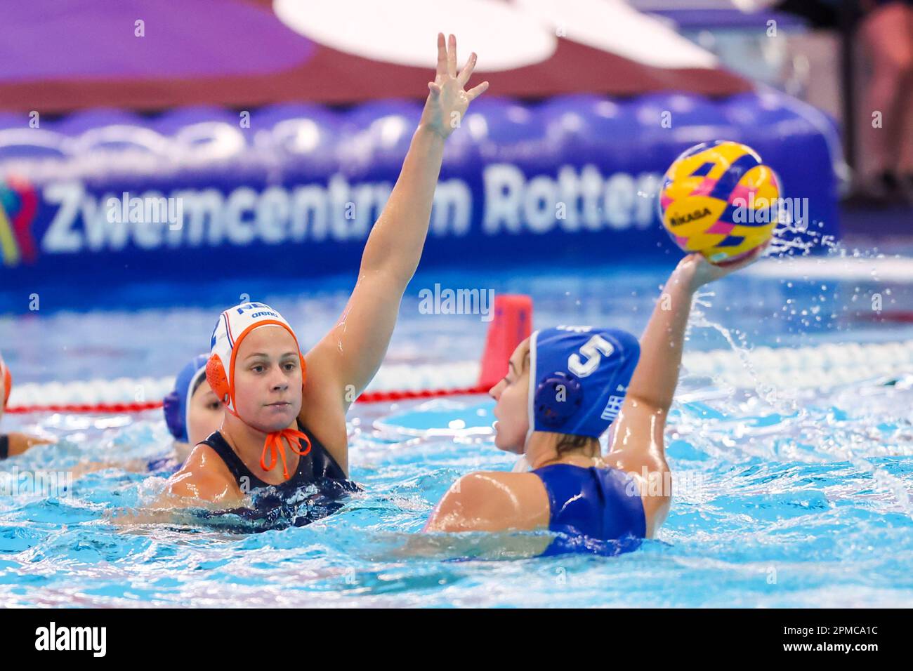 Margarita iris hi-res stock photography and images - Alamy