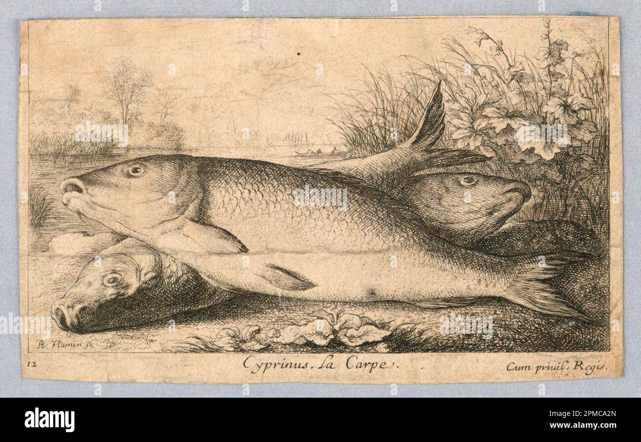 Print, Carp; etching on paper; 10.3 × 16.9 cm (4 1/16 × 6 5/8 in ...