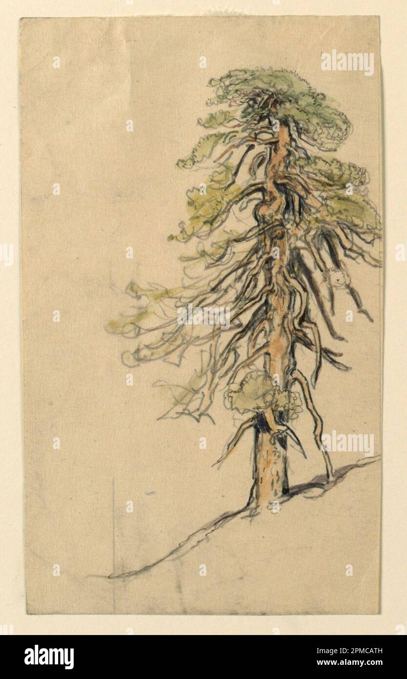 Drawing, Study of a Tree on a Hillside; Samuel Colman (American, 1832 ...