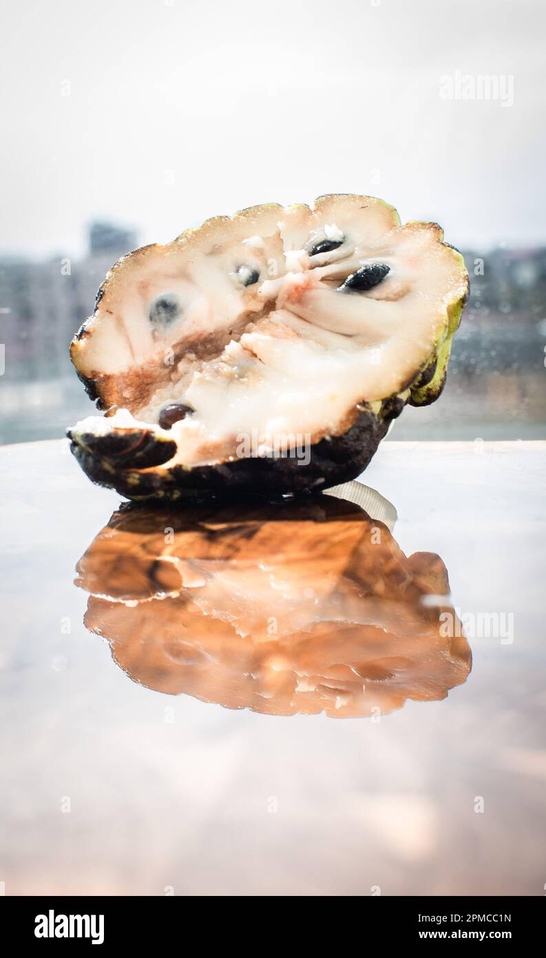 Close up of a custard apple, an exotic fruit with a vanilla smell and ...