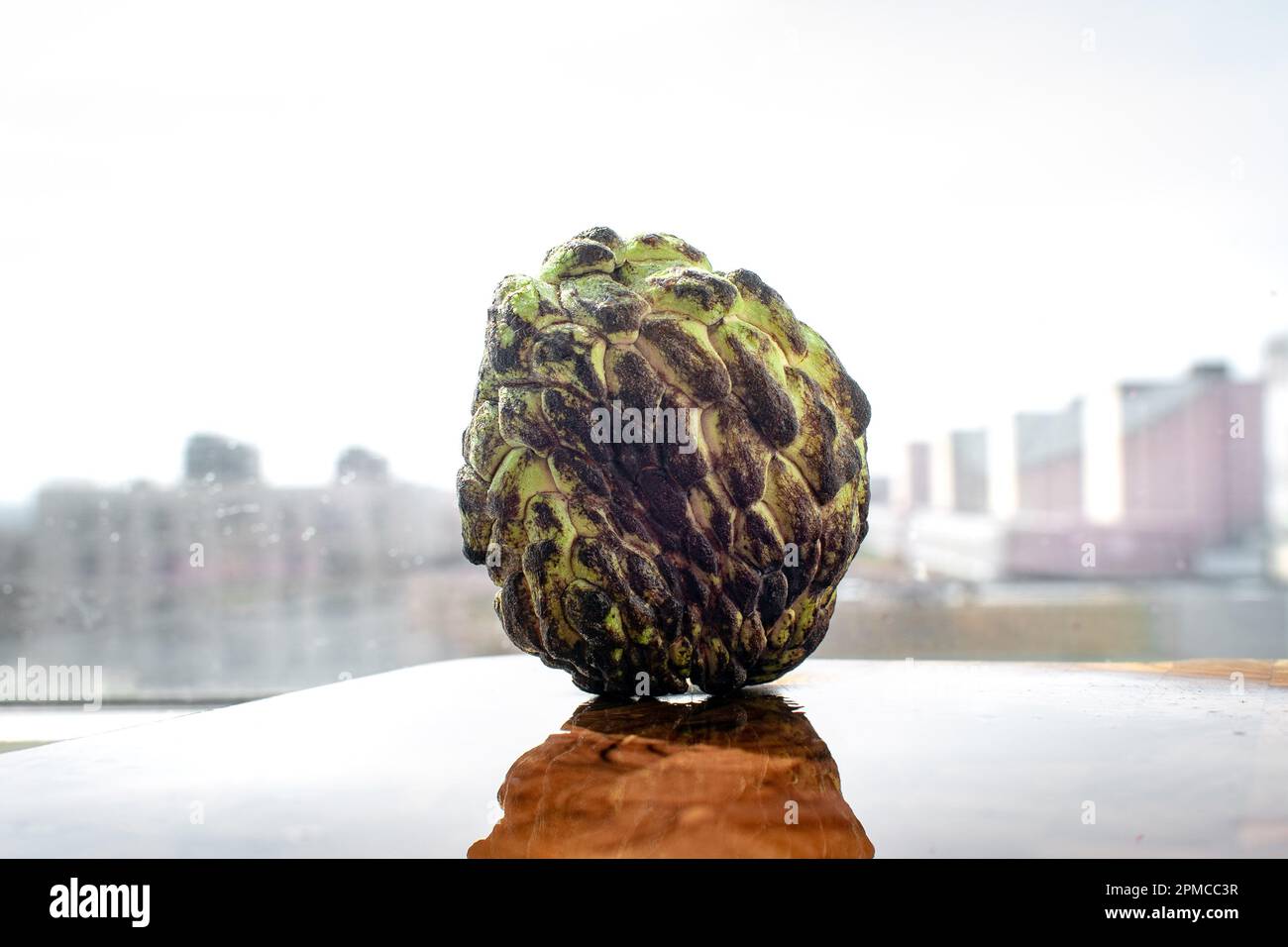 Close up of a custard apple, an exotic fruit with a vanilla smell and ...