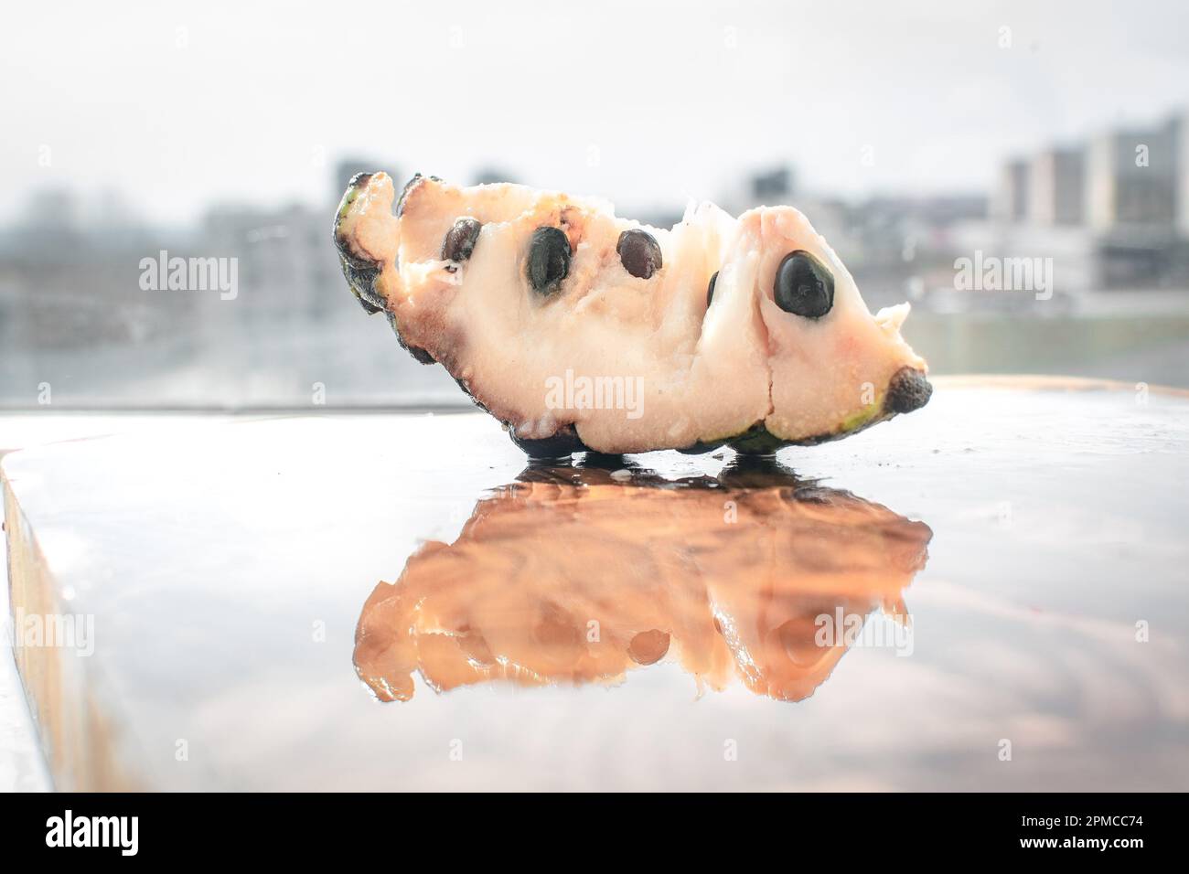 Close up of a custard apple, an exotic fruit with a vanilla smell and ...