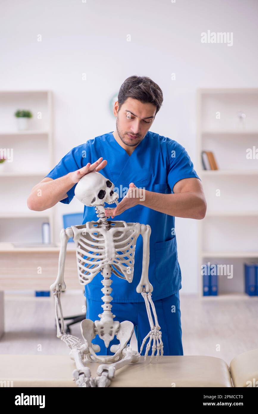 Male osteopath examining human skeleton hi-res stock photography and ...