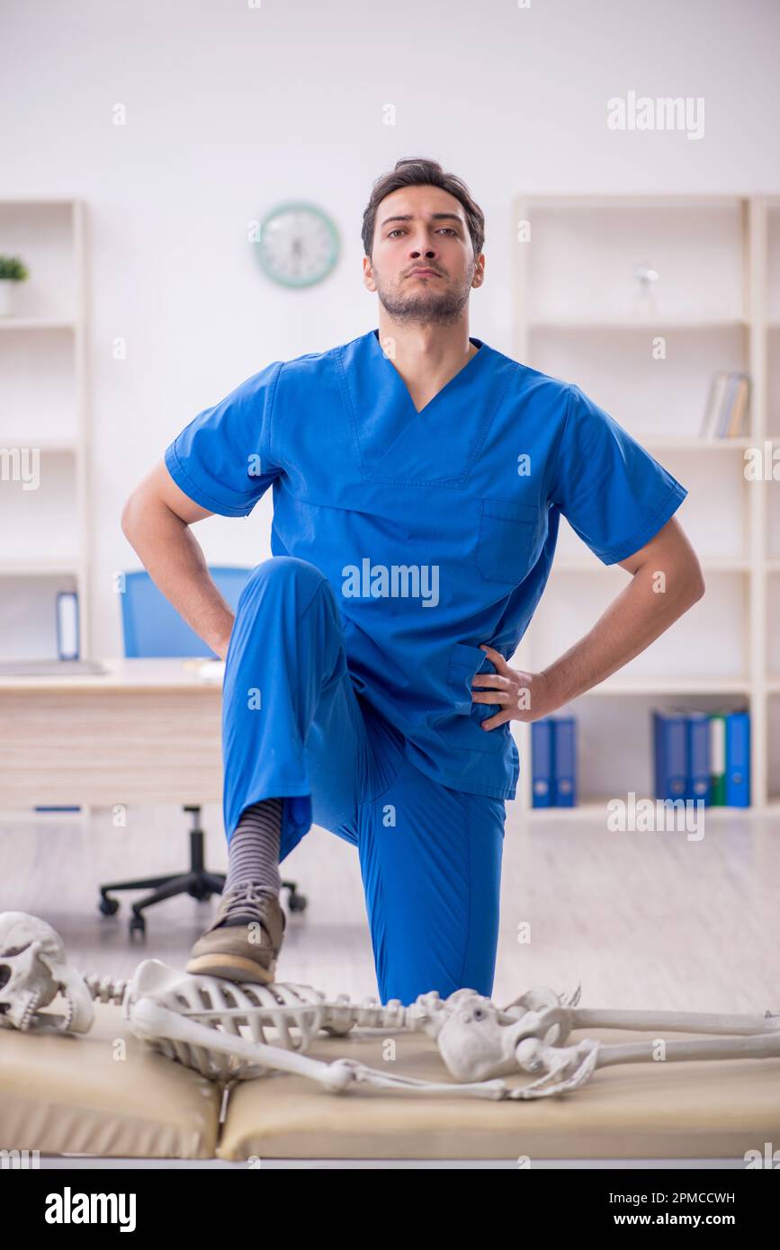 Male osteopath examining human skeleton hi-res stock photography and ...