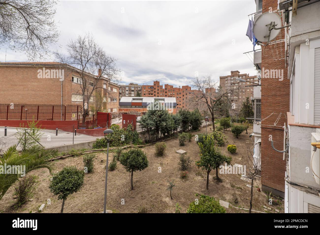 Views of an urban garden without grass with small trees and various ...