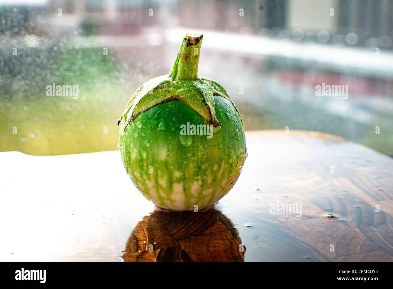 Thai round green eggplant, variety of eggplant used in Asian cuisine ...