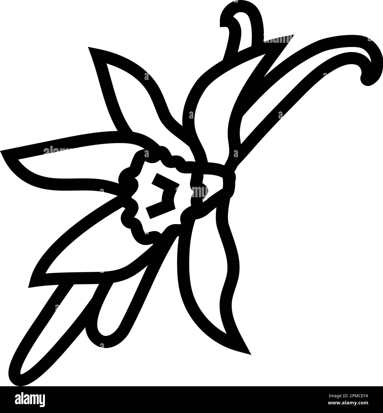 vanilla food herb line icon vector illustration Stock Vector Image ...