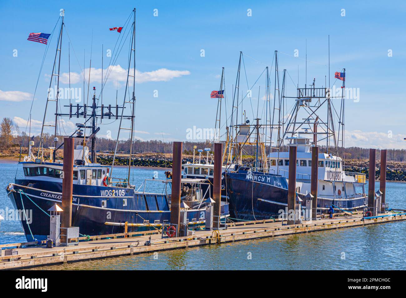 American flag fish hi-res stock photography and images - Alamy