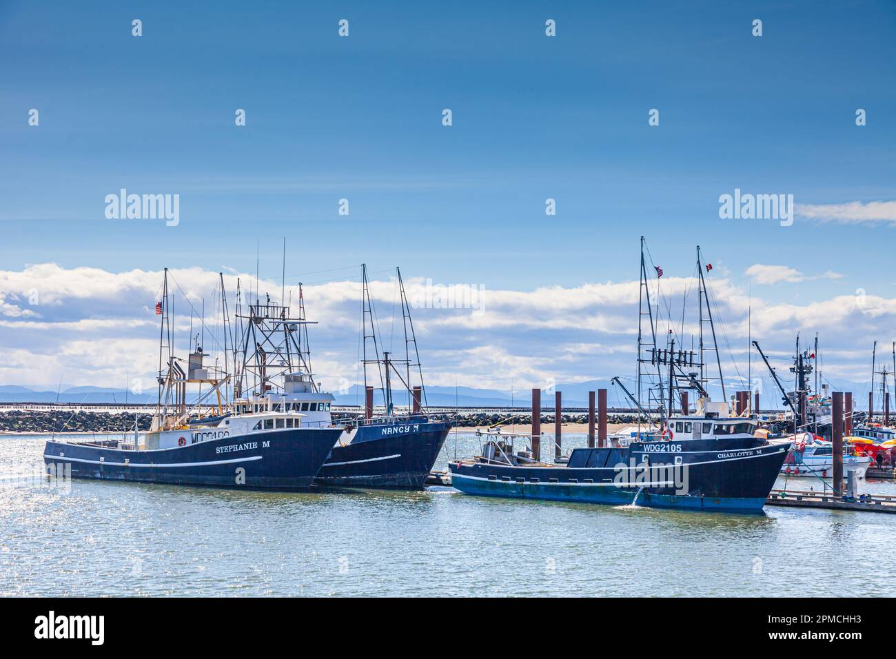 American flag fish hi-res stock photography and images - Alamy