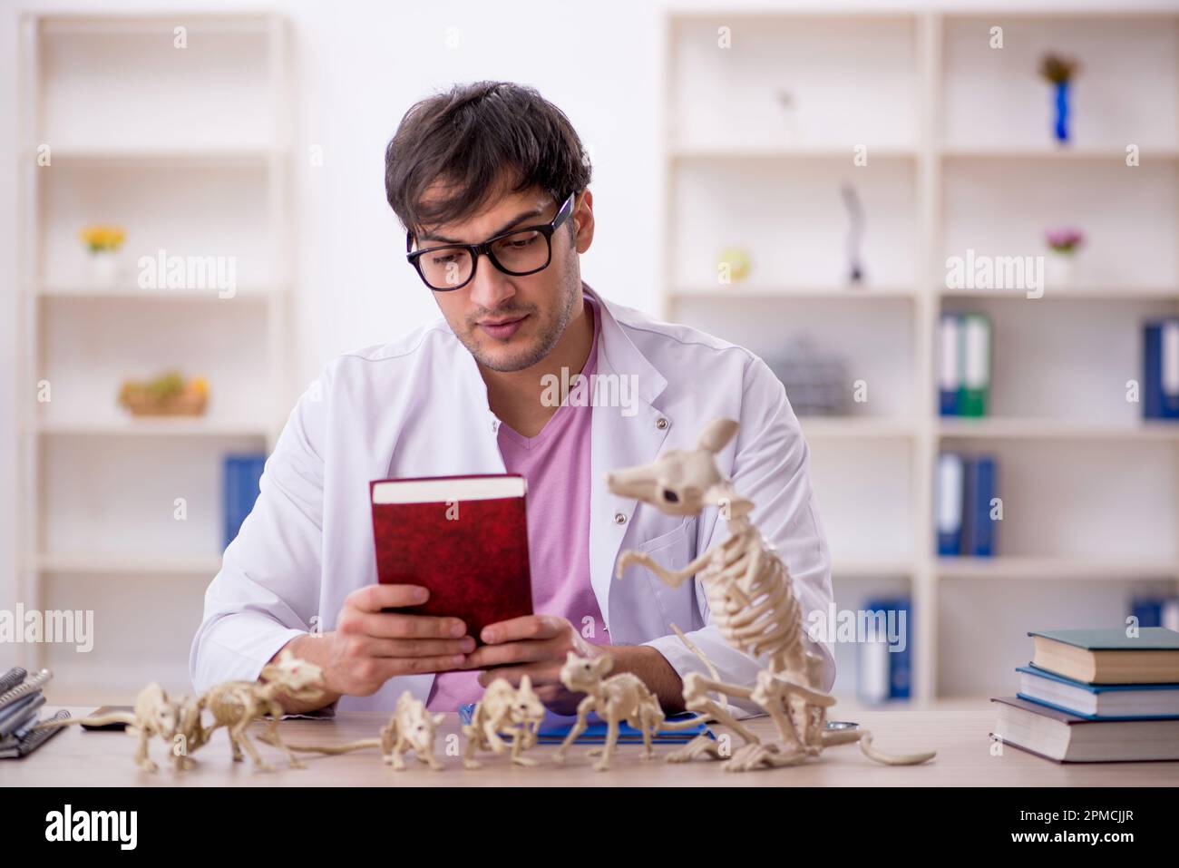 Young paleontologist examining ancient animals at lab Stock Photo - Alamy