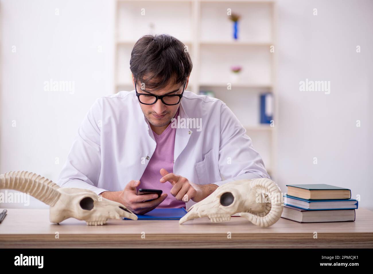 Young paleontologist examining ancient animals at lab Stock Photo - Alamy