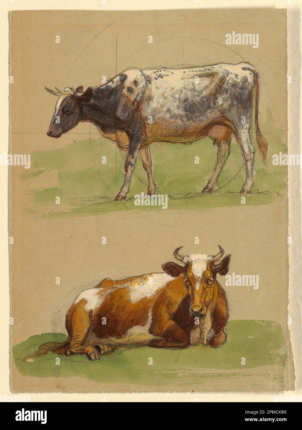 Drawing, Cattle, a Cow Walking and a Cow Crouching; Samuel Colman ...