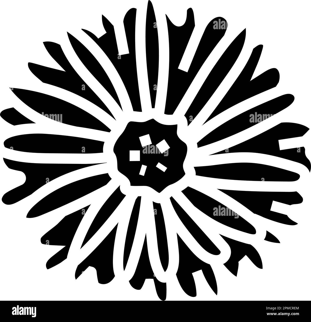 aster blossom spring glyph icon vector illustration Stock Vector Image ...