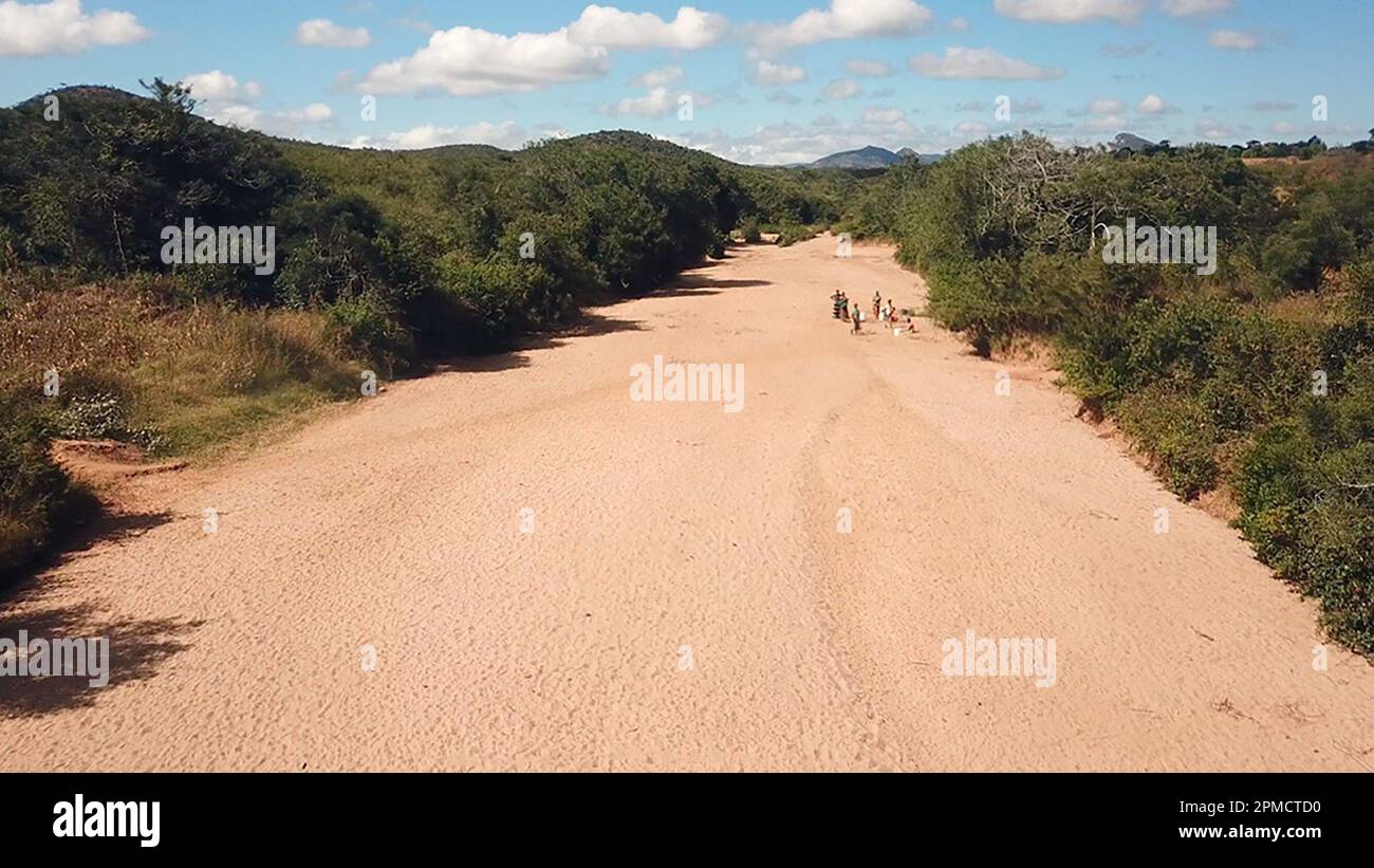 THE ANTS & THE GRASSHOPPER, (aka THE ANTS AND THE GRASSHOPPER), South ...