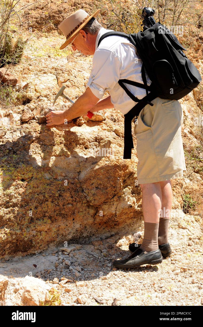 Senior geologist tap a rock formation with a hammer Stock Photo - Alamy