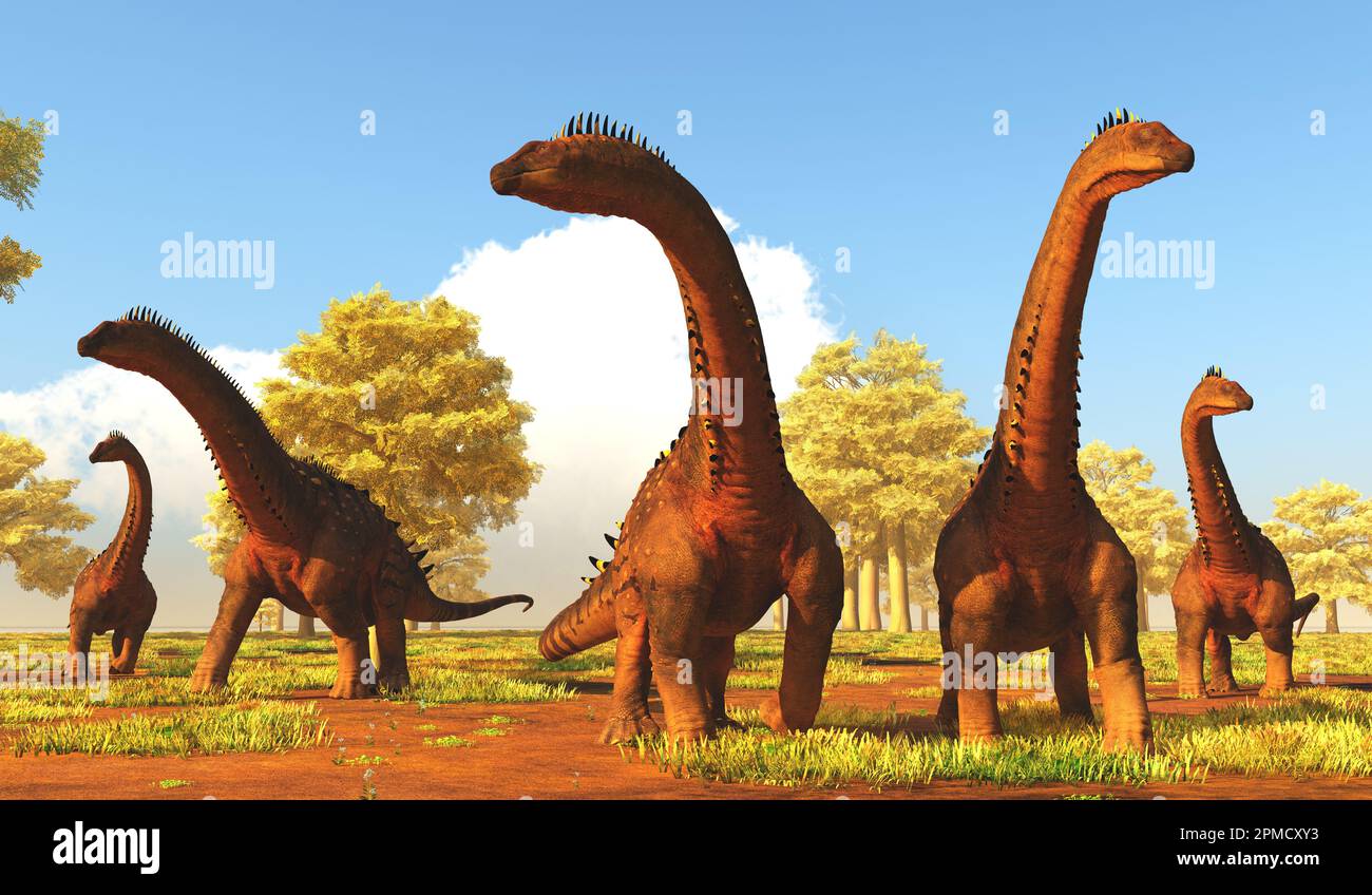 A herd of Titanosaurs called Alamosaurus dinosaurs forage among forest ...