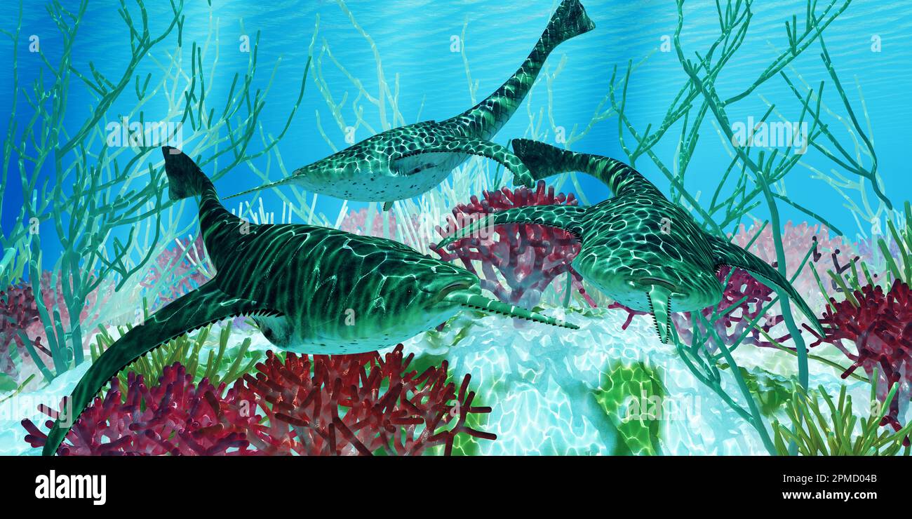 Doryaspis is an extinct primitive jawless fish that fed on plankton in ...