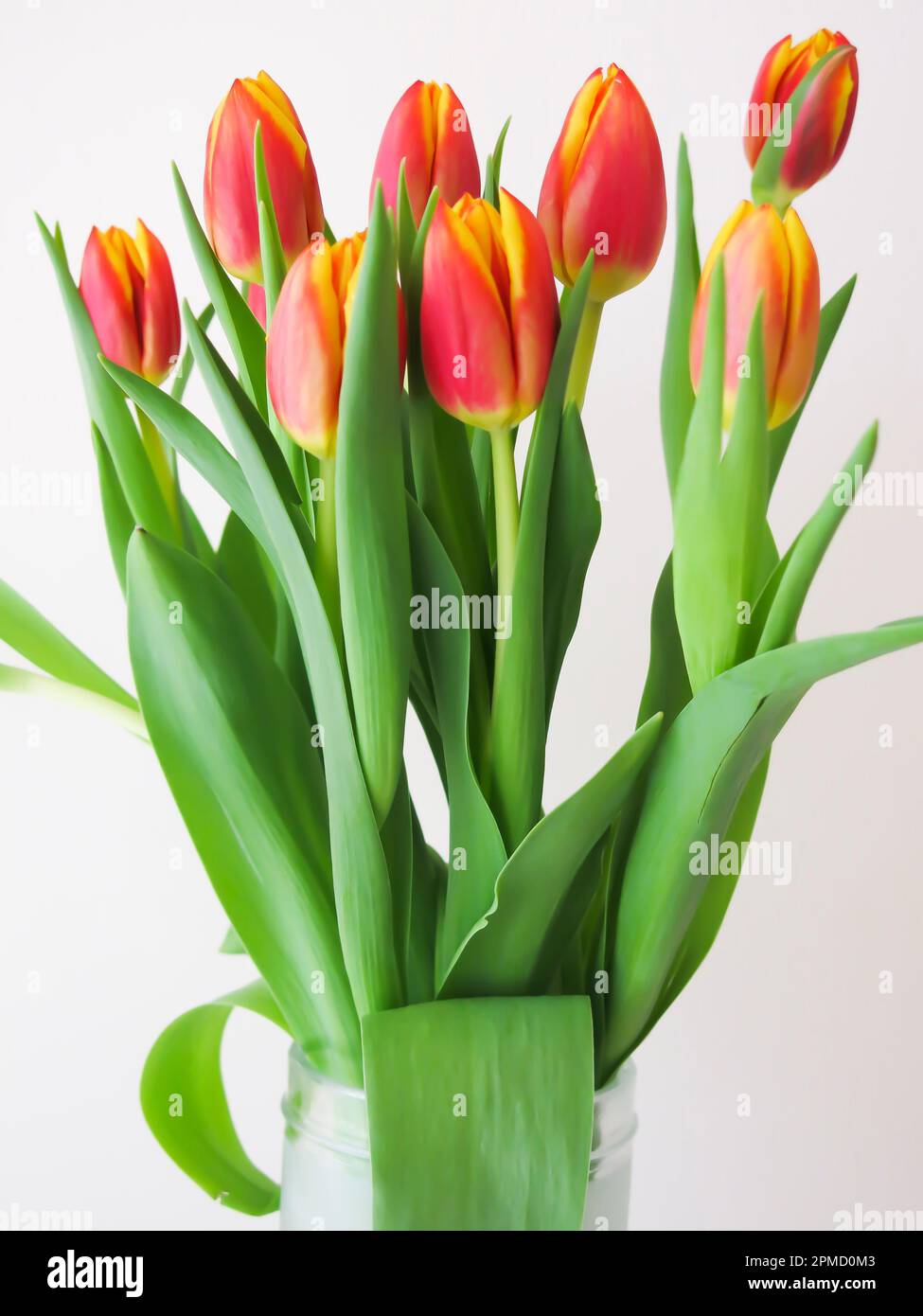 Simple vase yellow flowers hi-res stock photography and images - Alamy