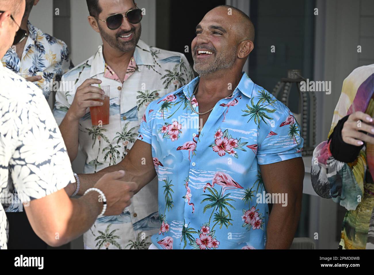 THE REAL HOUSEWIVES OF NEW JERSEY, Joe Gorga (center), Shots and Shade ...
