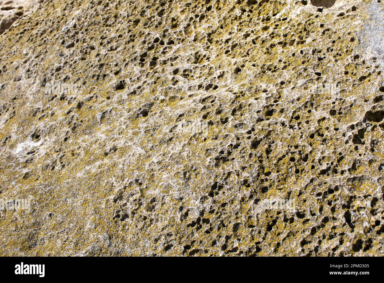 Porous texture of natural stone close-up Stock Photo - Alamy