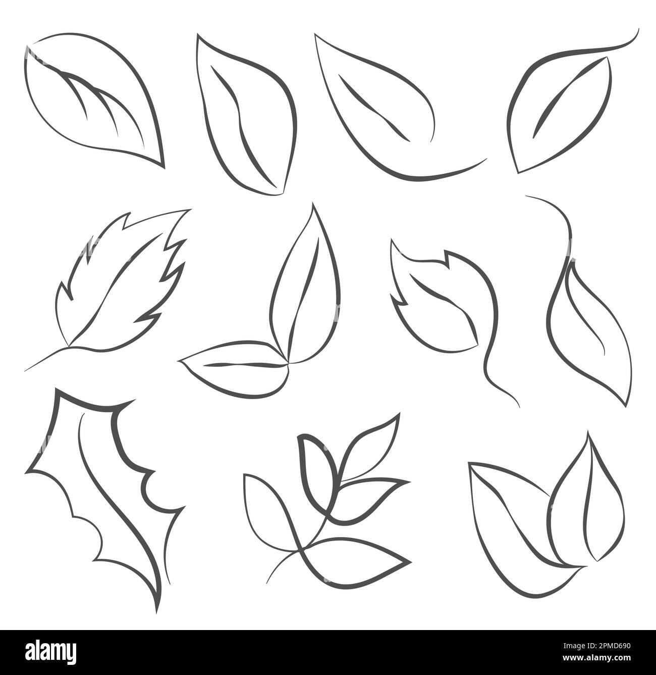 Set of leaves in line art style, sketch drawing, symbolizing eco ...