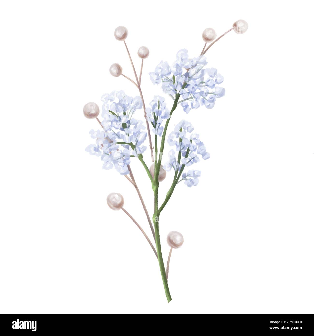 An elegant composition of blue gypsophila and dried decorative flowers ...