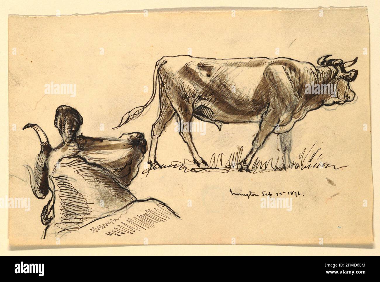 Drawing, Sketches of Cattle, Irvington; Samuel Colman (American, 1832 ...