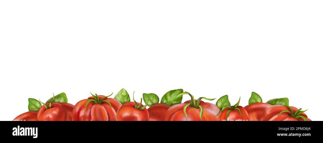 A border of red ripe tomatoes of different varieties with leaf basil ...