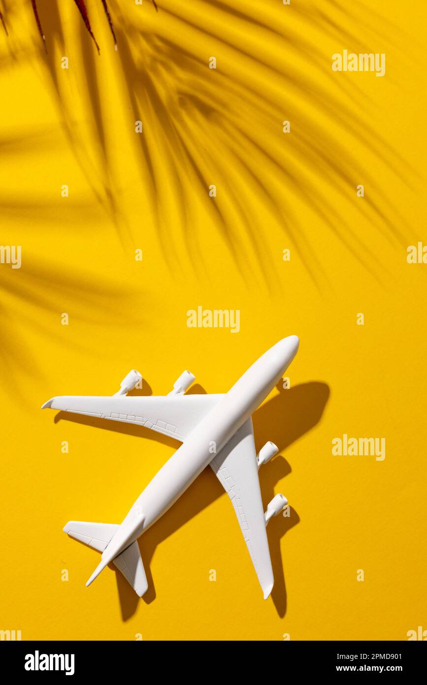 Close up of airplane model with leaves shadows on yellow background ...