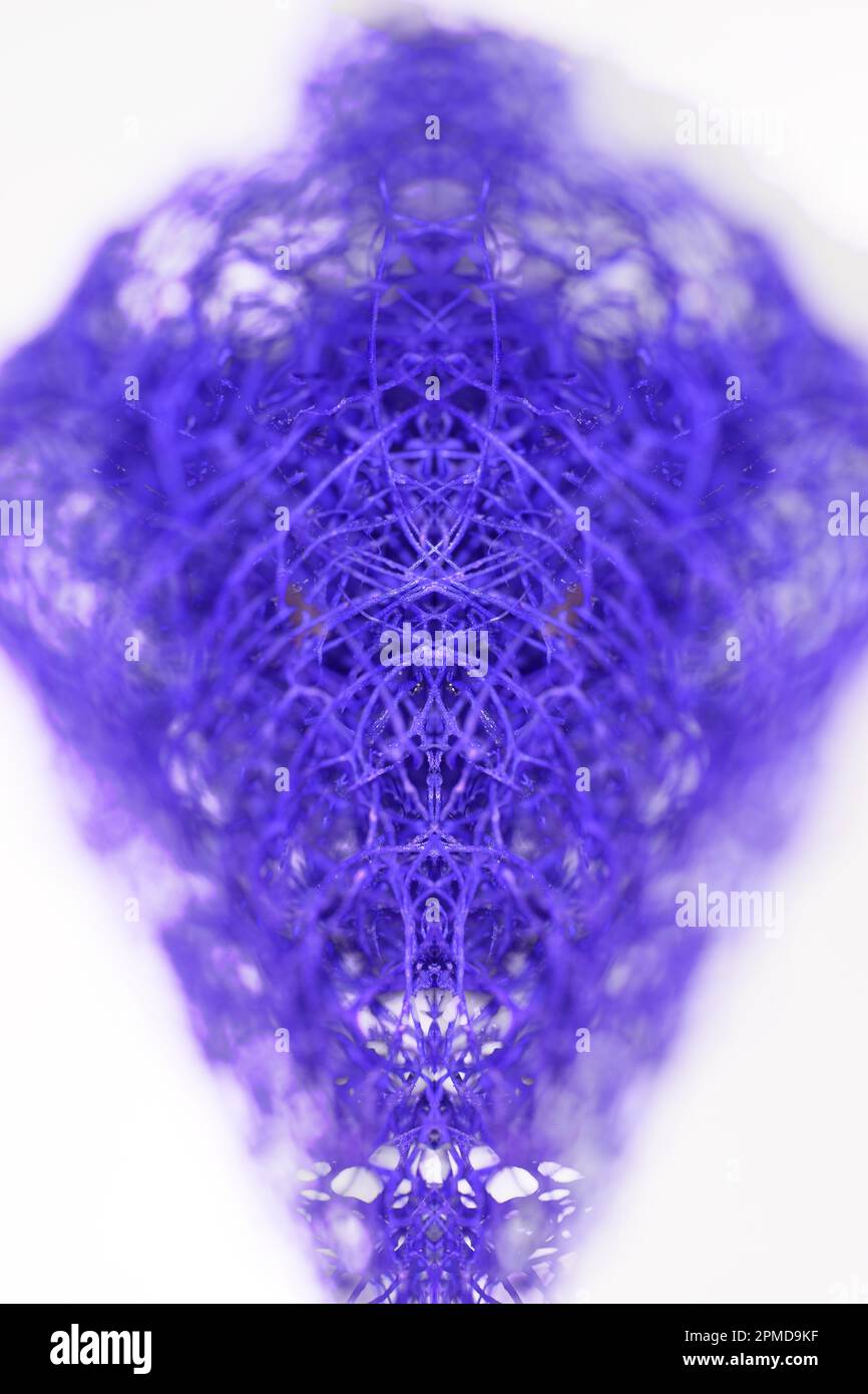 Flower natural potpourri roots strange tropical blossom fruit macro ...