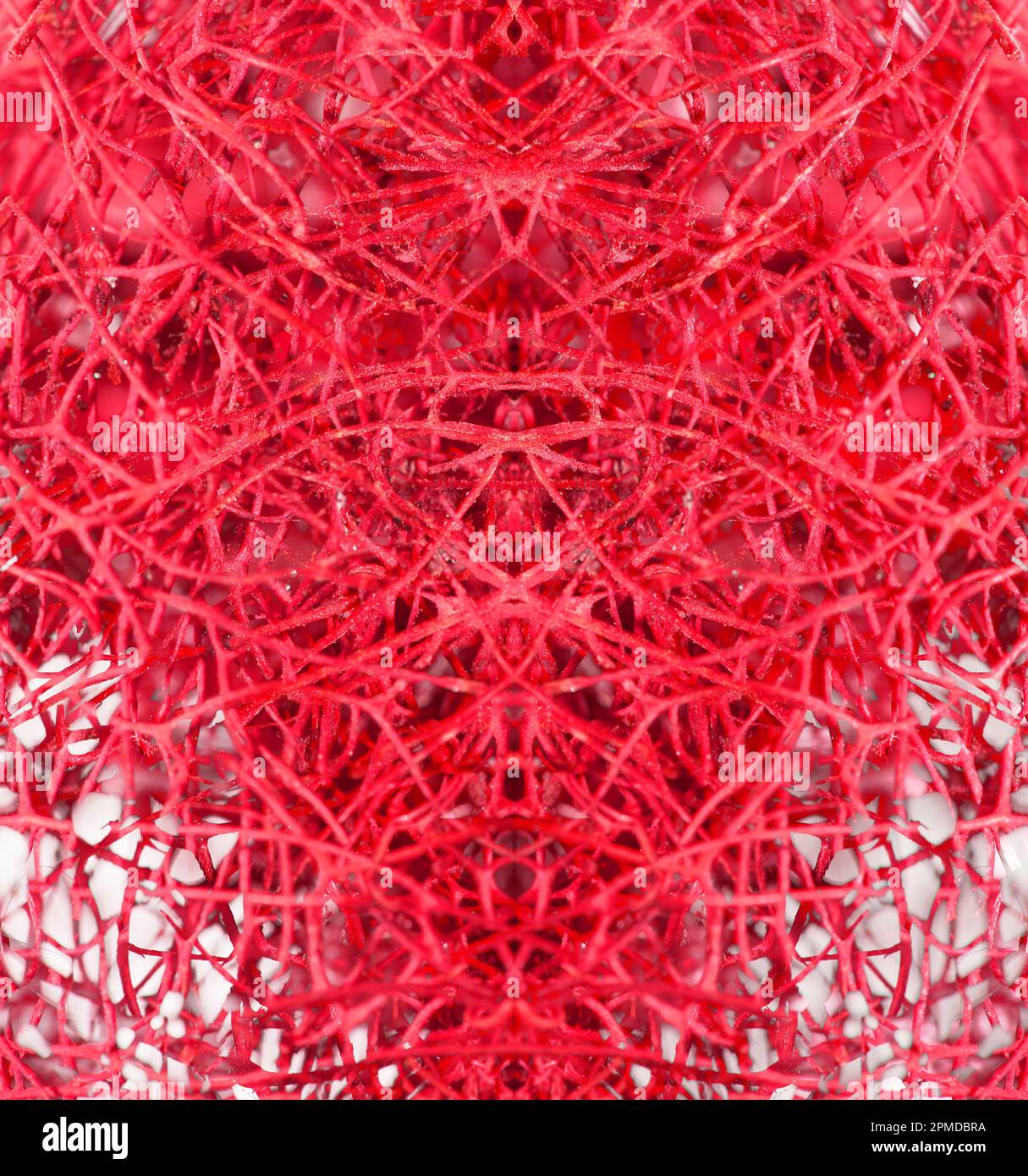 Flower natural potpourri roots strange tropical blossom fruit macro ...