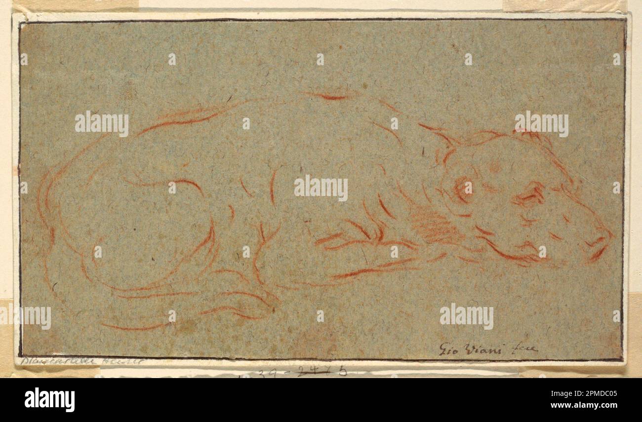 Drawing, Sketch: A couching dog; Attributed to Giovanni Maria Viani ...