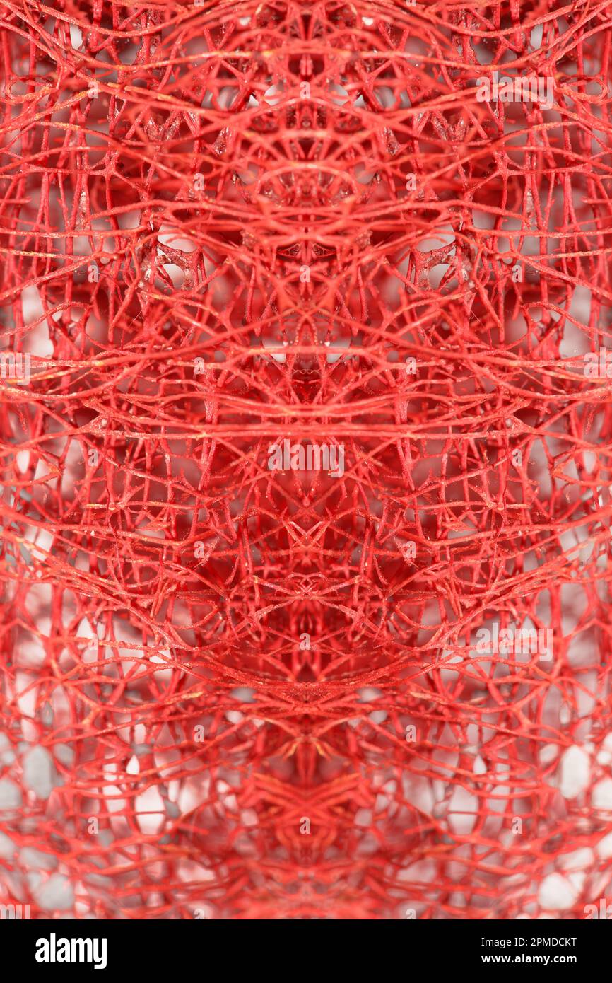 Flower natural potpourri roots strange tropical blossom fruit macro ...