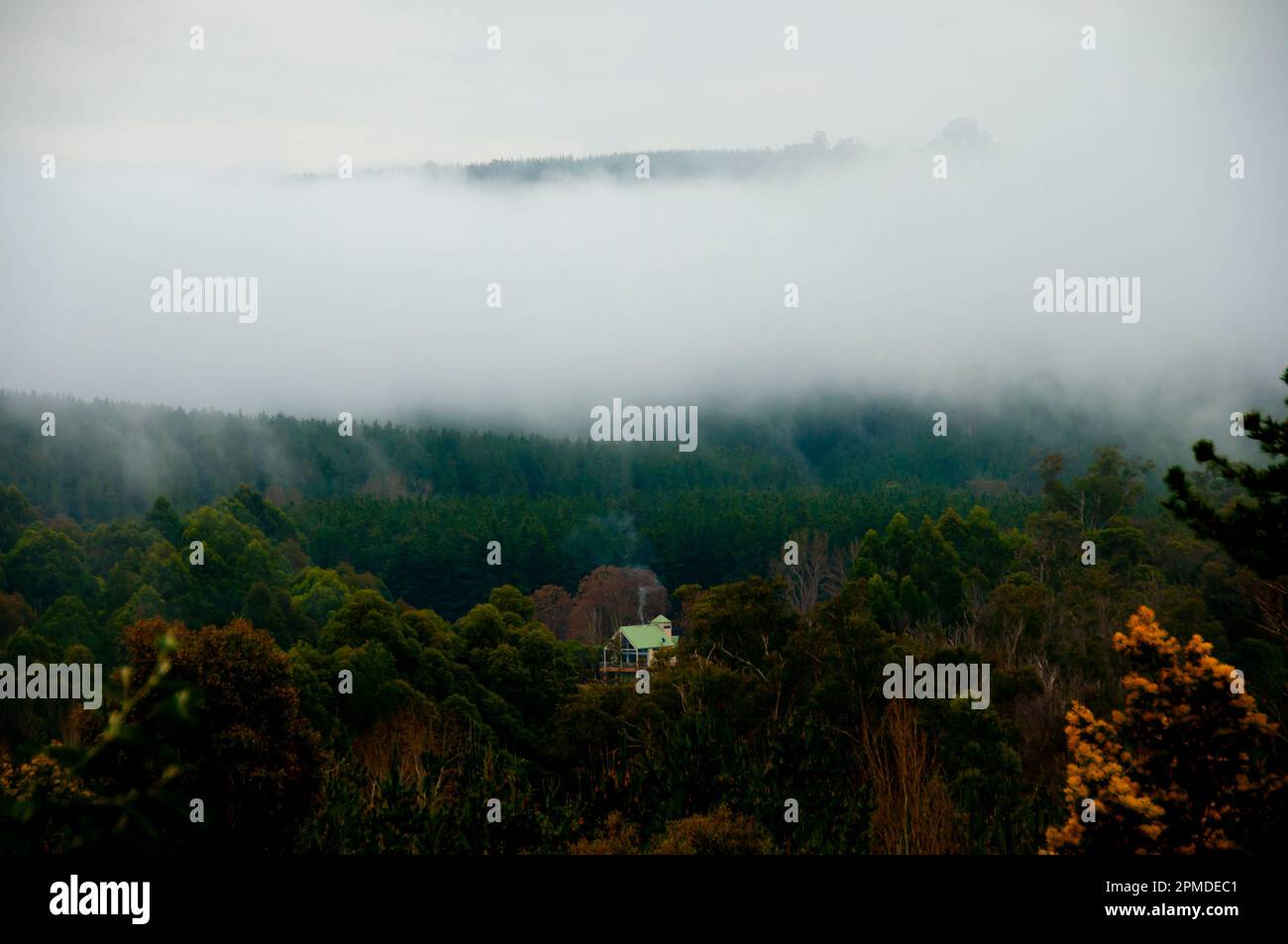 Balingup forest hi-res stock photography and images - Alamy