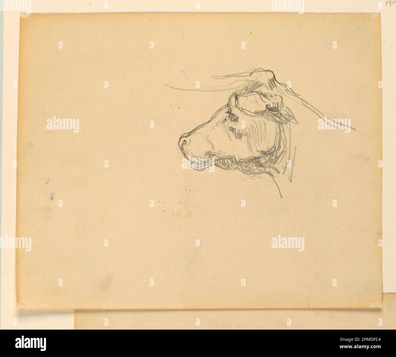 1919 hunting hi-res stock photography and images - Alamy
