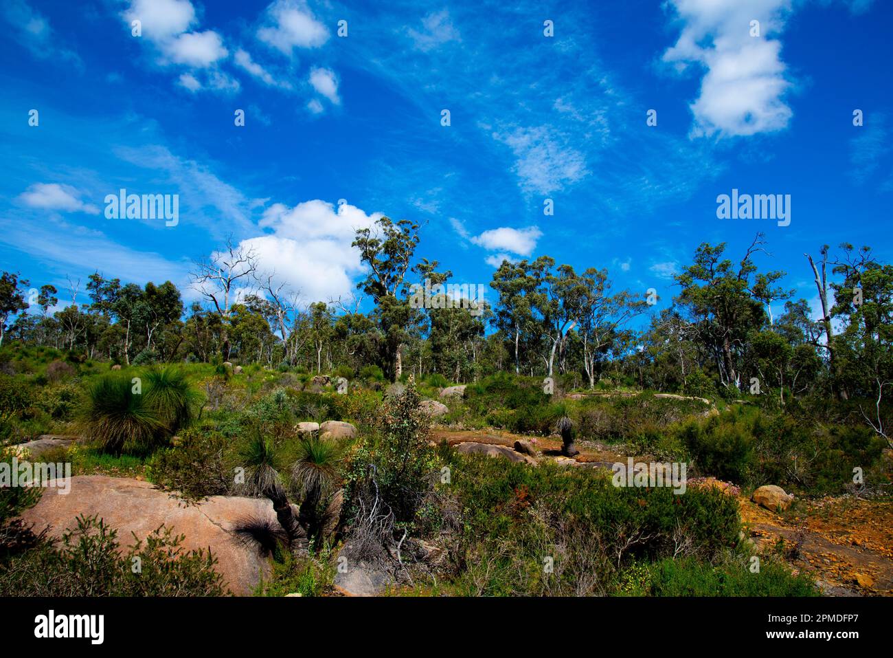 John Forrest National Park - Western Australia Stock Photo - Alamy