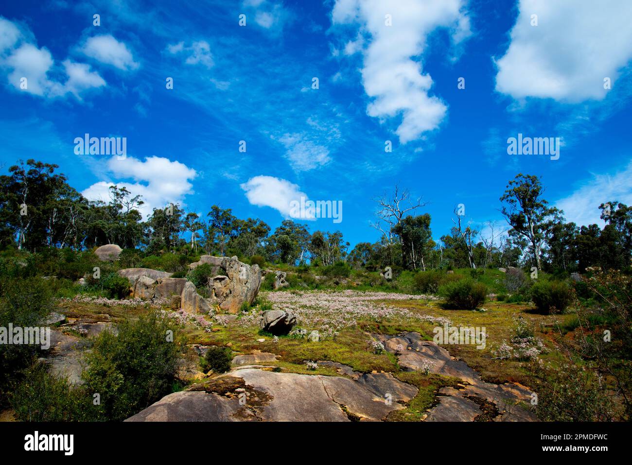 John Forrest National Park - Western Australia Stock Photo - Alamy