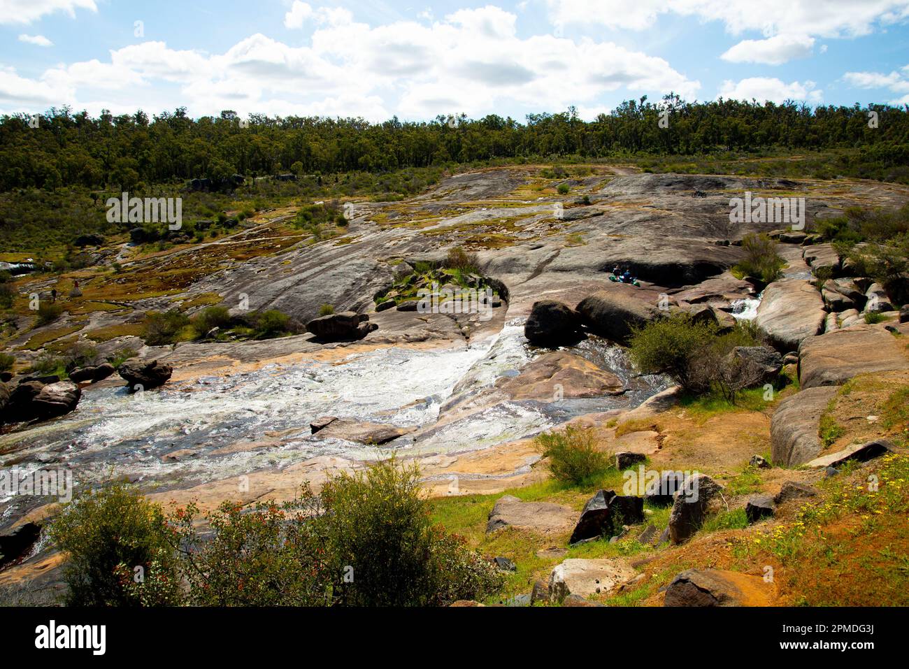 John Forrest National Park - Western Australia Stock Photo - Alamy