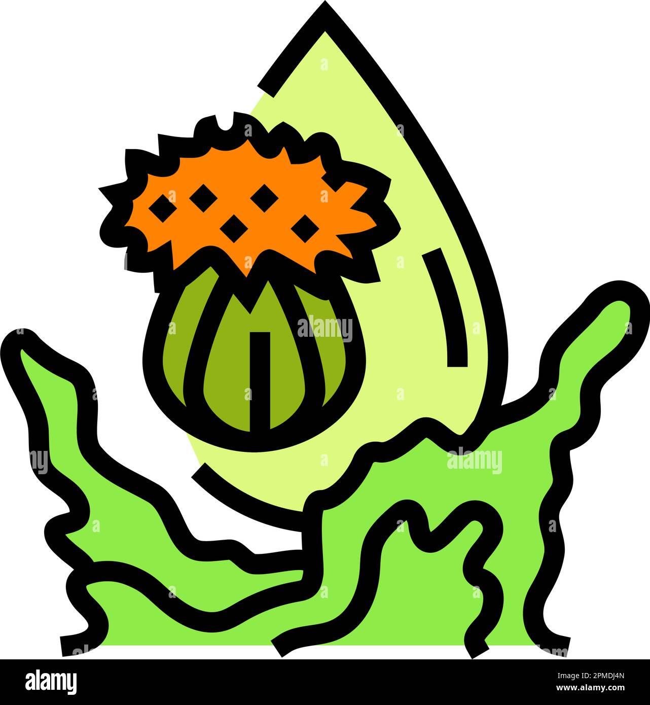 Safflower seed Stock Vector Images - Alamy