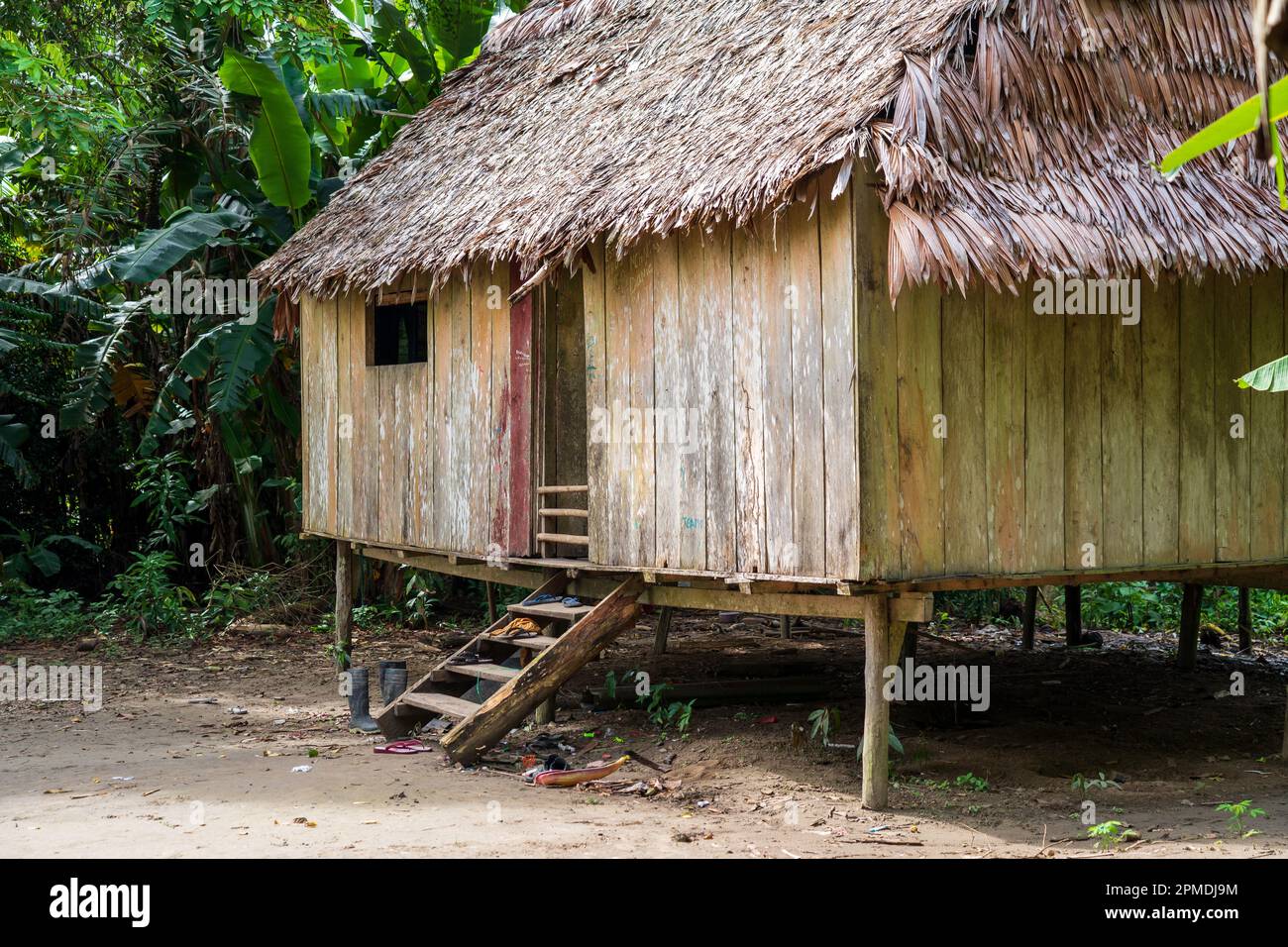 Amazon rainforest homes hi-res stock photography and images - Alamy