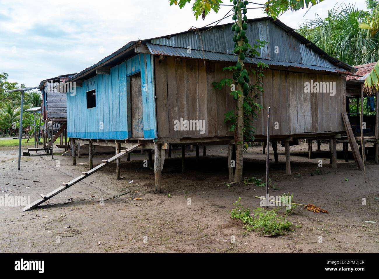 Amazon rainforest homes hi-res stock photography and images - Alamy