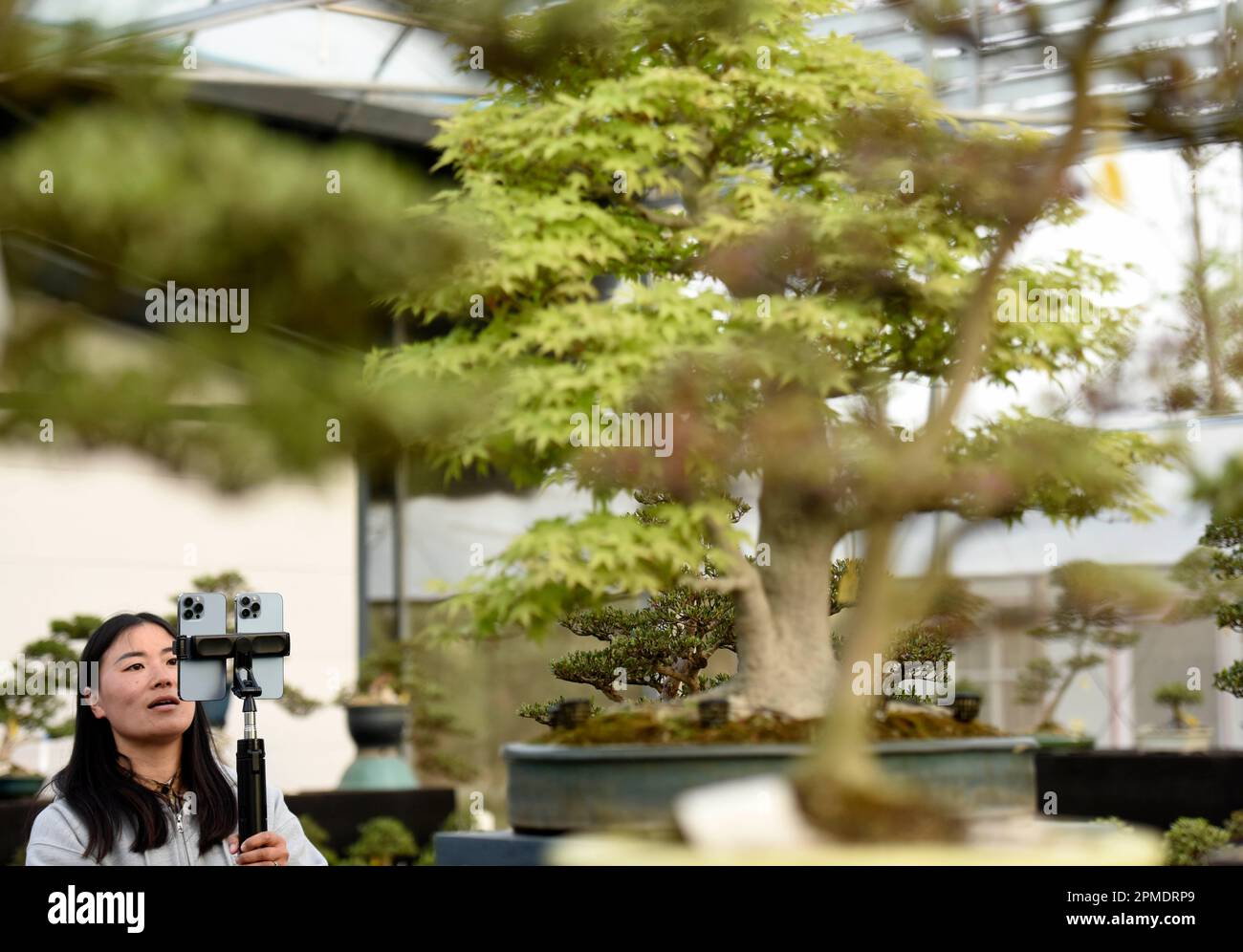 SUQIAN, CHINA - APRIL 12, 2023 - An anchor sells flowers and trees in ...