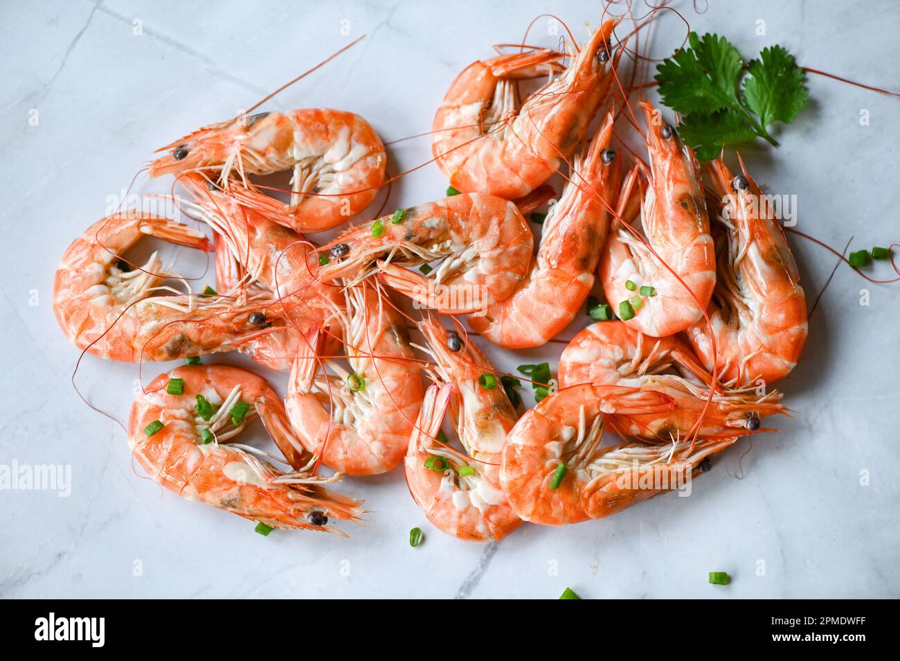 shrimp on white plate background dining table food, Fresh shrimps ...