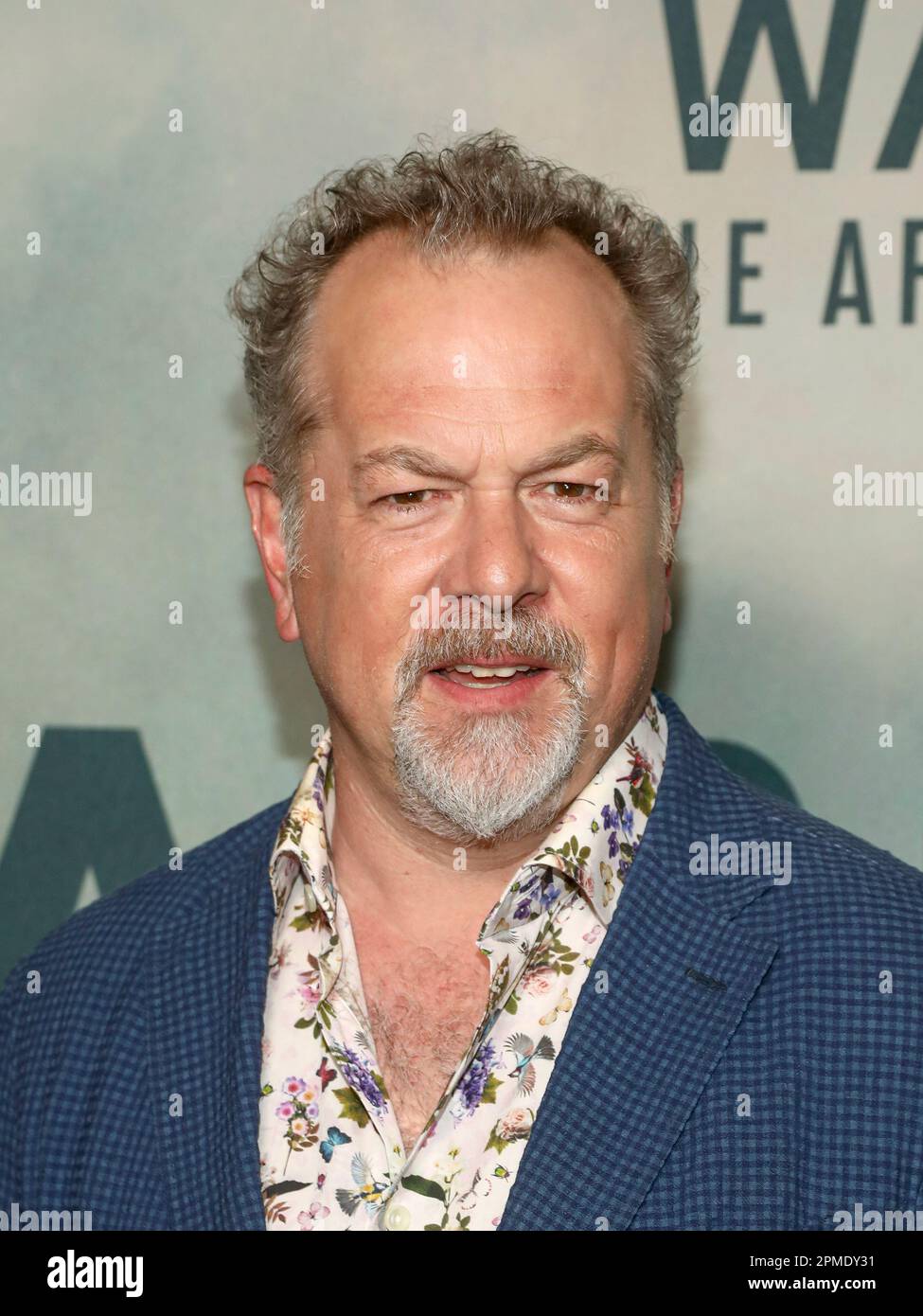 Actor David Costabile attends the Showtime premiere of "Waco: The ...