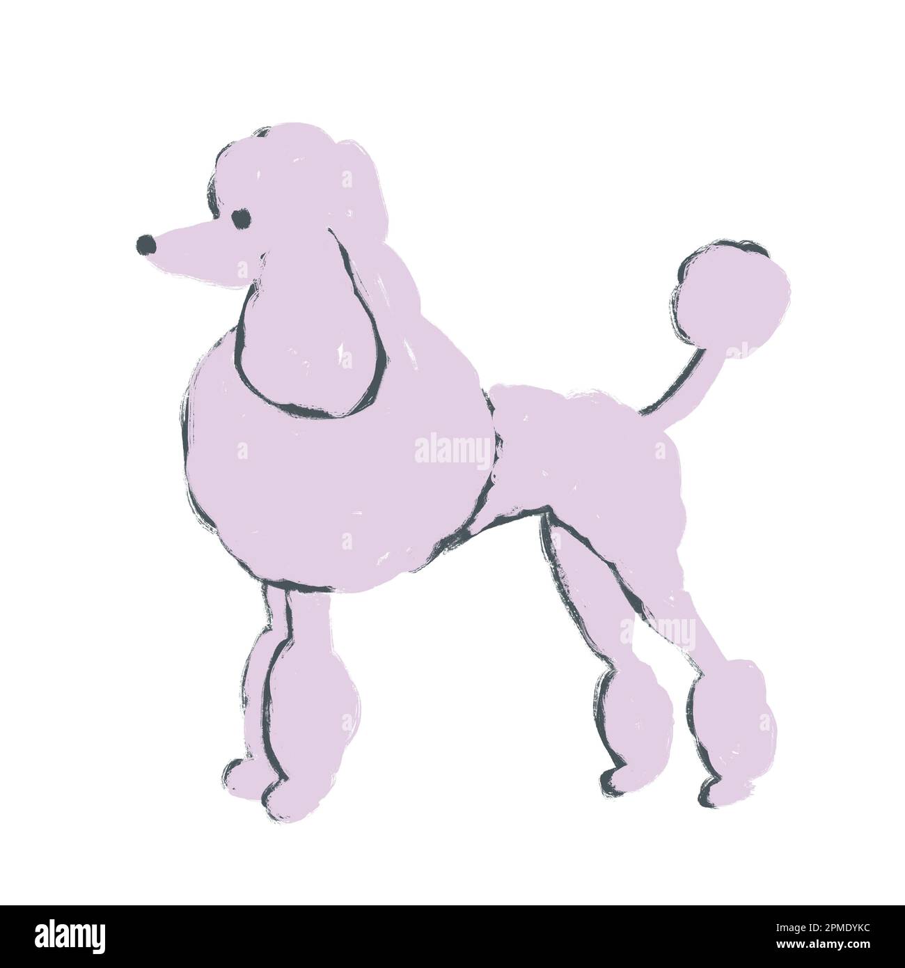 Hand drawn illustration with poodle dogs on white background. Pink ...